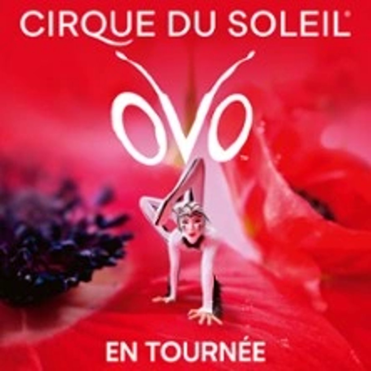 Spectacle Cirque du Soleil OVO à Strasbourg du 5 au 08/11/2026
